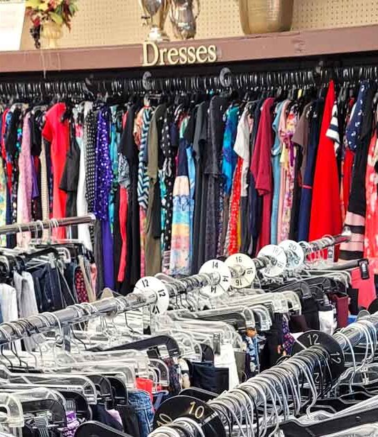 thrift stores illinois huge ftr