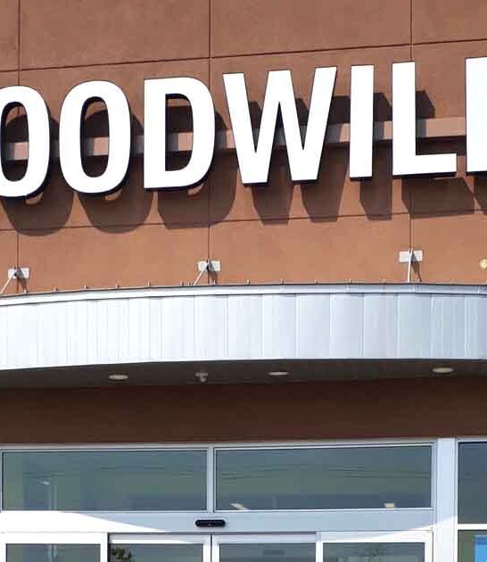 thrift stores minnesota worth ftr