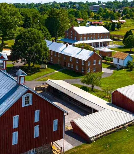 time travel farm maryland ftr