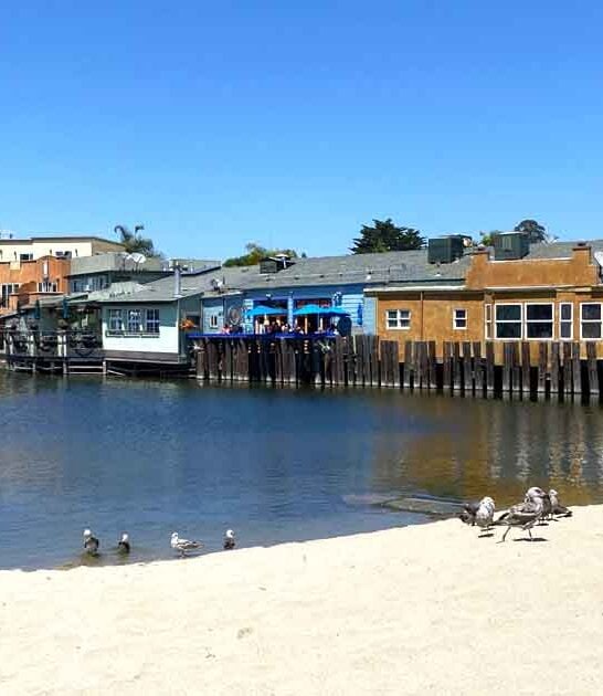 tiny california beach secret ftr