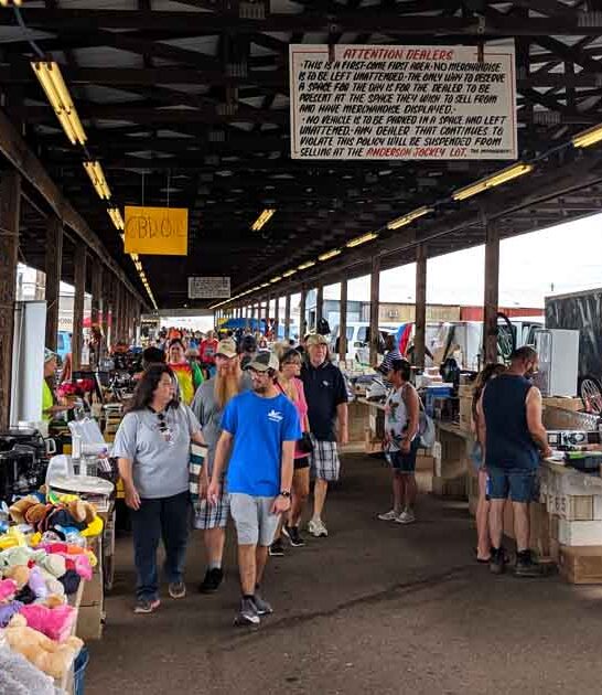 treasure south carolina markets ftr