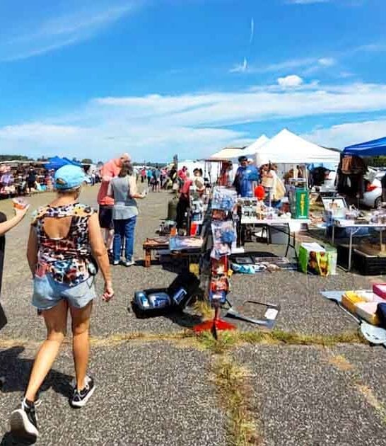 treasures store new york ftr