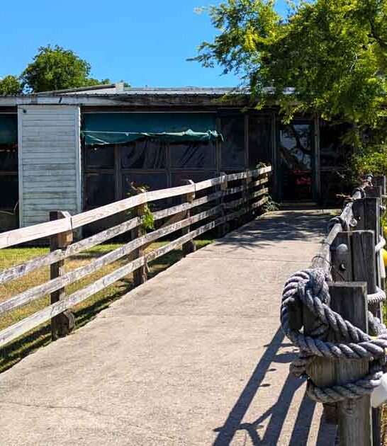 unassuming south carolina shrimp ftr