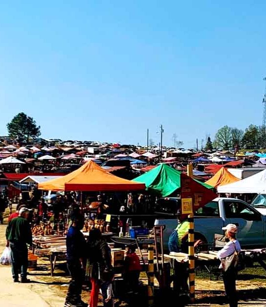 unbelievable flea markets alabama ftr