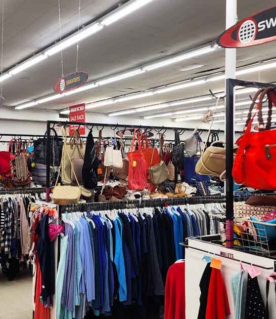 unbelievable thrift stores michigan ftr