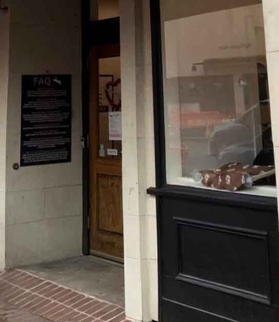 underrated cat cafe georgia ftr