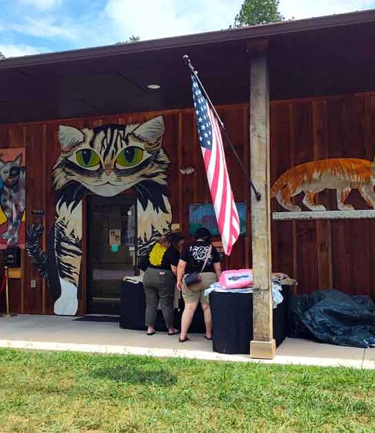 unique north carolina museum ftr