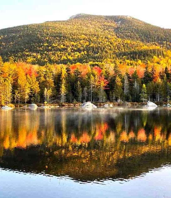 unreal park beauty maine ftr