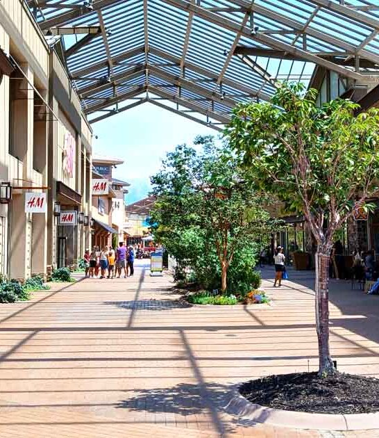 utah mall shoppers smart ftr