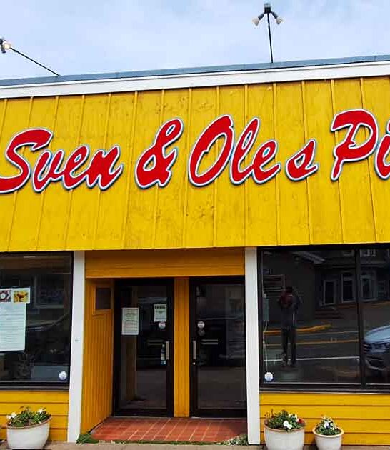 viking pizza restaurant minnesota ftr