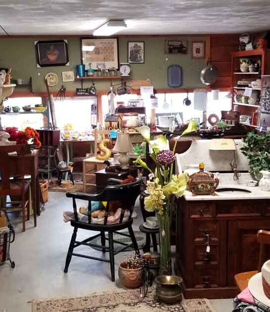 vintage store rhode island ftr