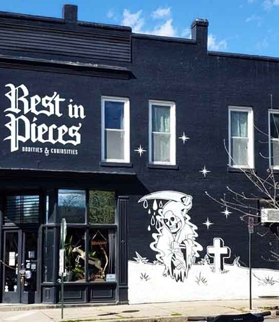 virginia bizarre shop ftr