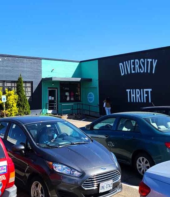 virginia enormous bargain store ftr