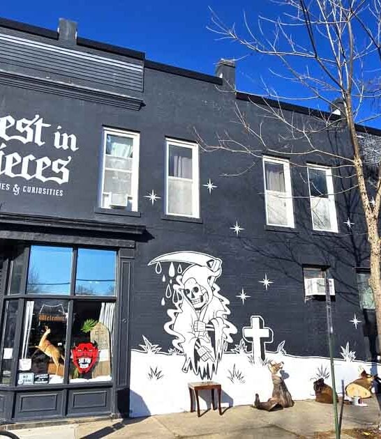 virginia quirky shop ftr