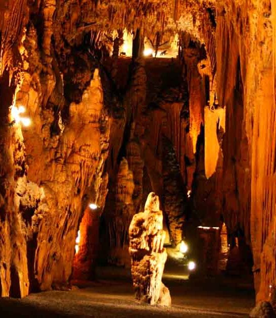 virginia rare underground wonder ftr