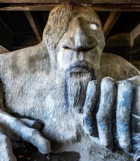 washington bizarre attraction ftr