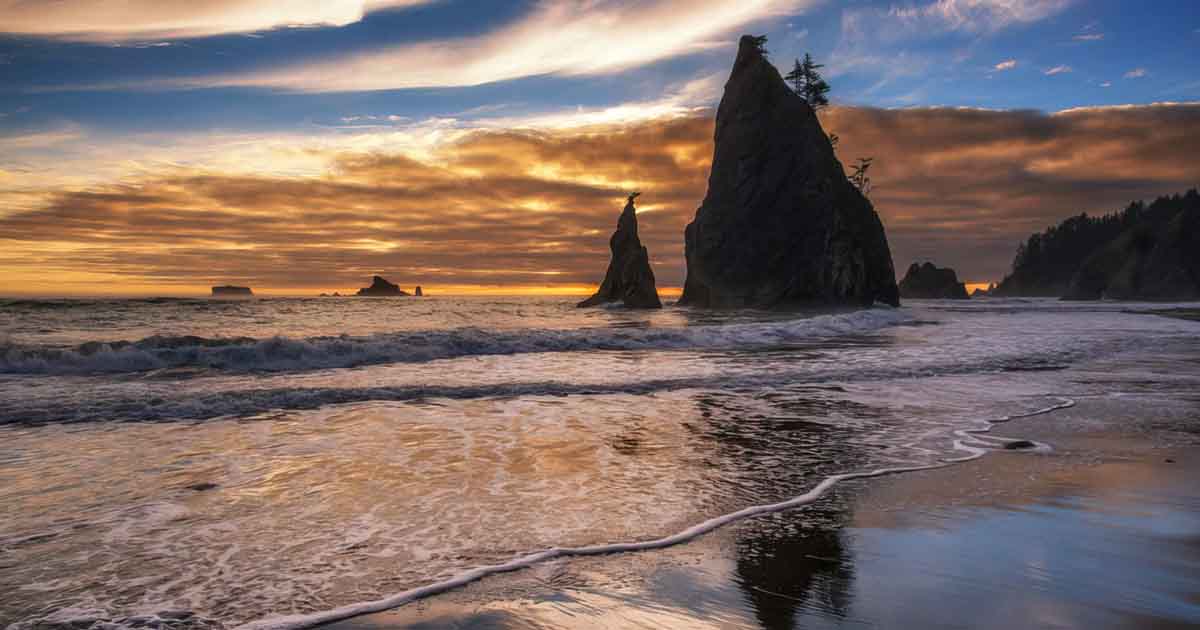 The Dreamy Beach In Washington That Feels Like The Edge Of The World