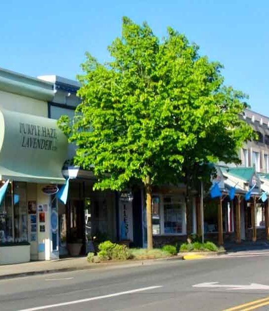 washington dreamy towns trip ftr