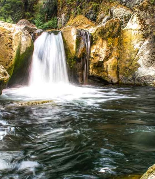 washington swimming hole tradition ftr