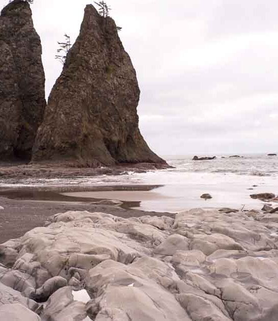 washington unique rugged beach ftr