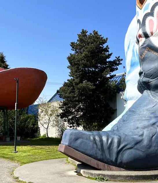 washington wonderfully weird park ftr