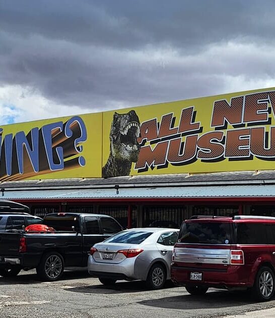 weird arizona amazing museum ftr