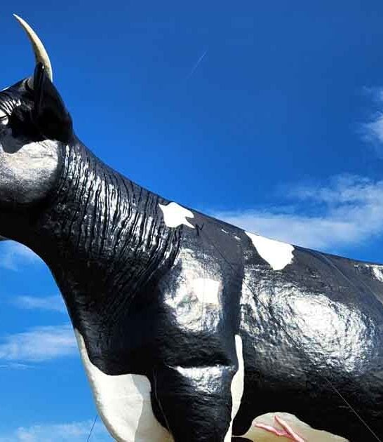 weird attractions north dakota ftr