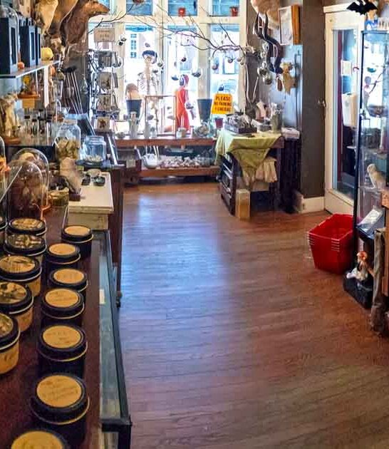 weird oddity shop maryland ftr