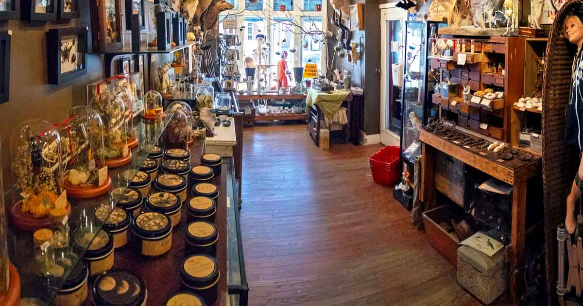 This Weird Oddity Shop In Maryland Is Full Of The Strangest Things You ...