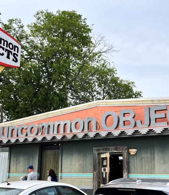 weird oddity shop texas ftr