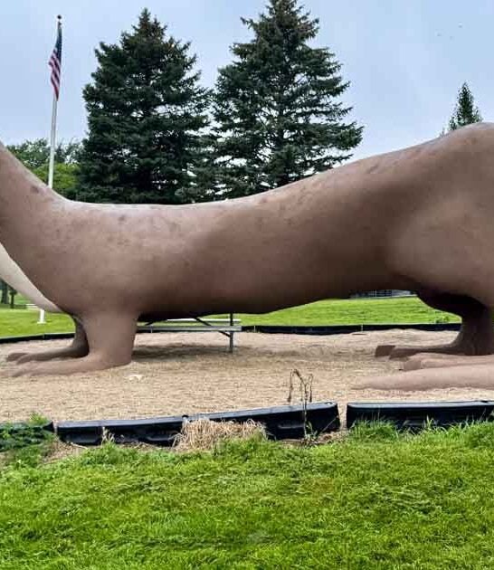 weird roadside stops minnesota ftr