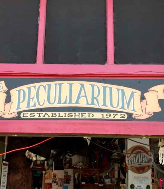 weirdest little museum oregon ftr