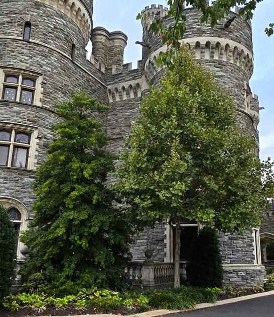 whimsical pennsylvania castle ftr