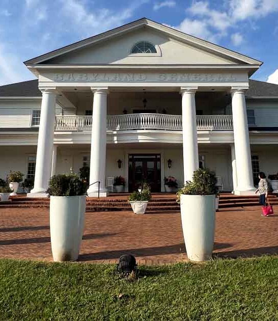 whimsical place georgia hospital ftr