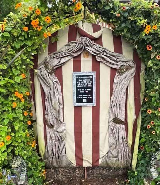 whimsical strange museum california ftr