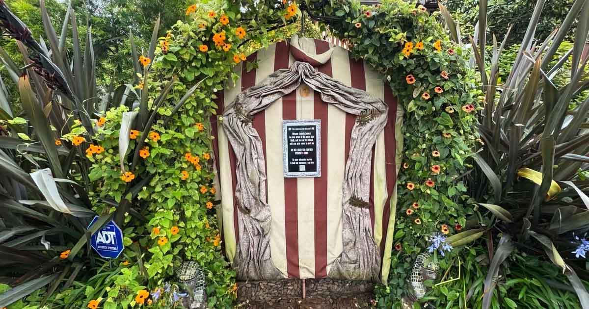 This Whimsical Museum Is One Of The Strangest Places In California