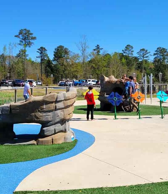 wild south carolina playground ftr