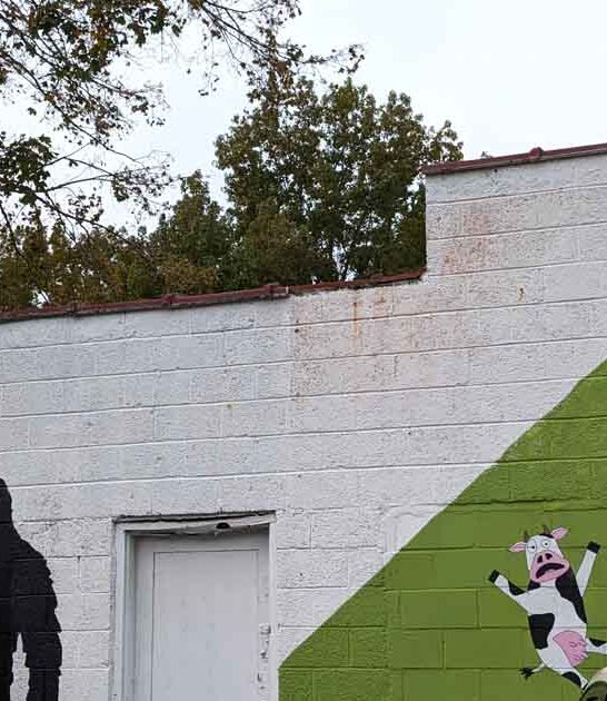 wonderful museum north carolina ftr