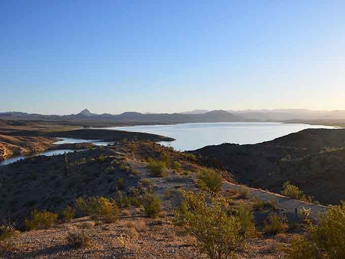 Golden hour at Alamo Lake turns the desert into a masterpiece that no filter could ever improve.