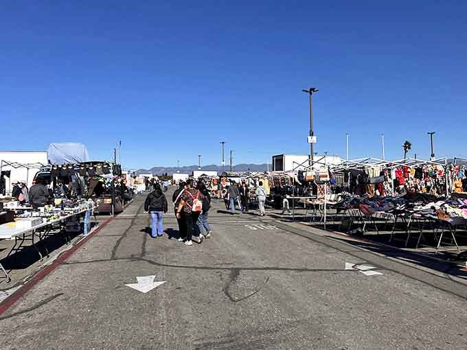Rows of treasures stretch toward those gorgeous San Bernardino Mountains, promising adventure in every direction you look.