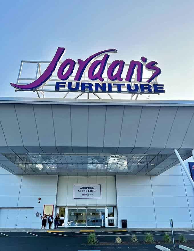 That purple signature logo practically screams "we're not your grandpa's furniture warehouse," and they mean it.