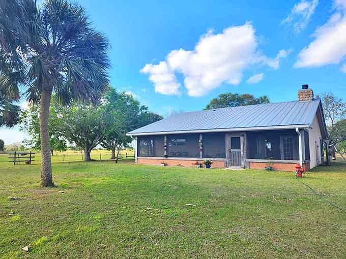 This charming ranch house sits pretty under Florida skies, promising peace you forgot existed in modern life.