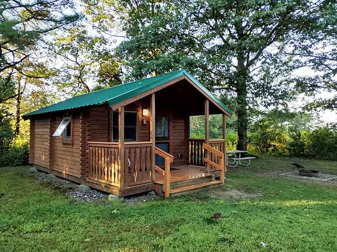 Your temporary home away from home comes with a porch, green roof, and neighbors who actually wave hello.