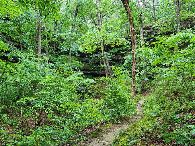 That verdant canopy overhead creates nature's own cathedral, complete with sandstone pews and a congregation of ancient trees.