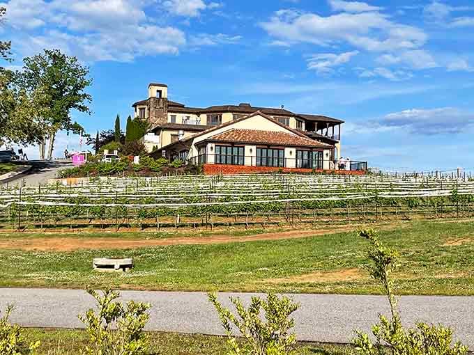 Vineyards stretching toward the mountains like nature's own retirement plan, peaceful and absolutely worth the investment.