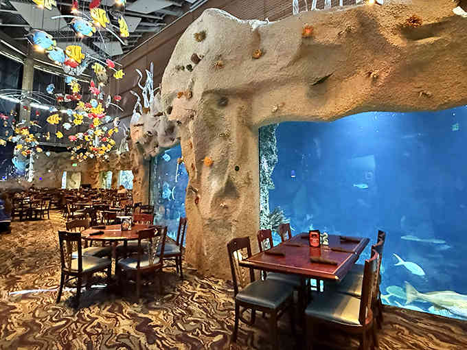 Floor-to-ceiling aquarium views transform your dinner into an underwater adventure without getting wet.