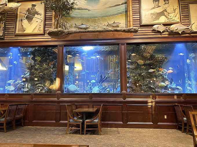 The coral reef formations behind glass make you forget you're in central Virginia and not the Caribbean.