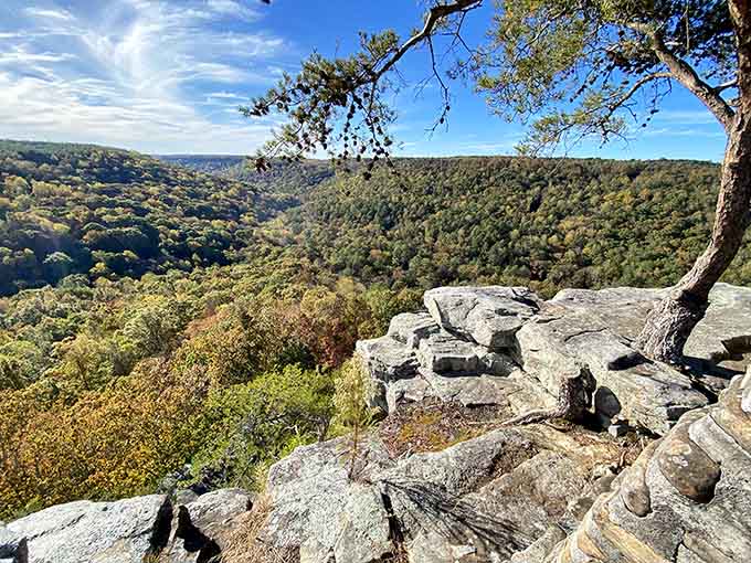 When the canyon spreads out beneath you like nature's own amphitheater, suddenly everything else feels small.