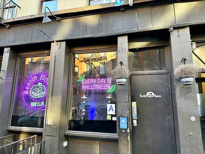 That neon sign saying "Every Day Is Halloween" isn't just marketing, it's a lifestyle choice you'll happily embrace.