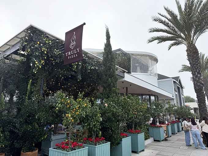 Modern coastal architecture meets pizza perfection at this Dana Point destination where palm trees and good taste converge beautifully.